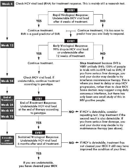 Guide to Hepatitis C for People Living With HIV